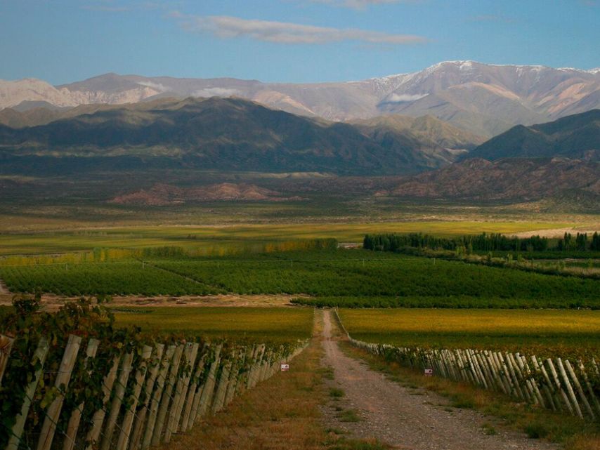 La Linterna Malbec, El Tomillo Estate, Parcel #5 - Gualtallary | World ...