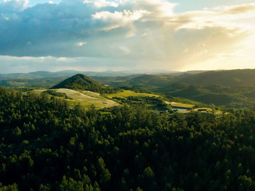 Carapé | World's Best Sommeliers' Selection